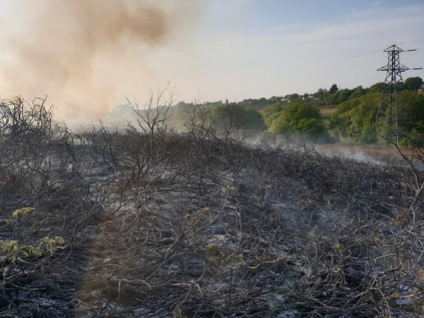 LOCAL NEWS: Appeal for information after suspicious fire at Bourne ...